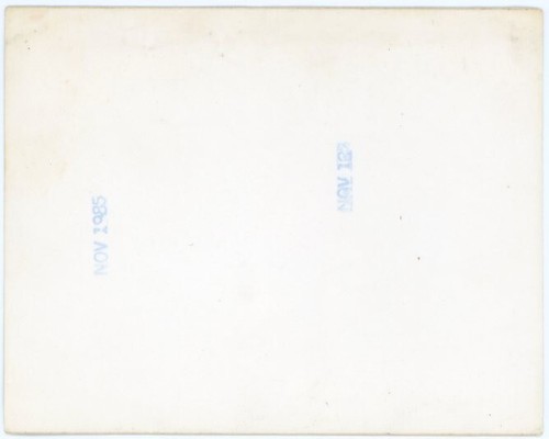 Vtg Found Photo 1985 Halloween Mickey / Minnie Mouse Costume by Stone ...