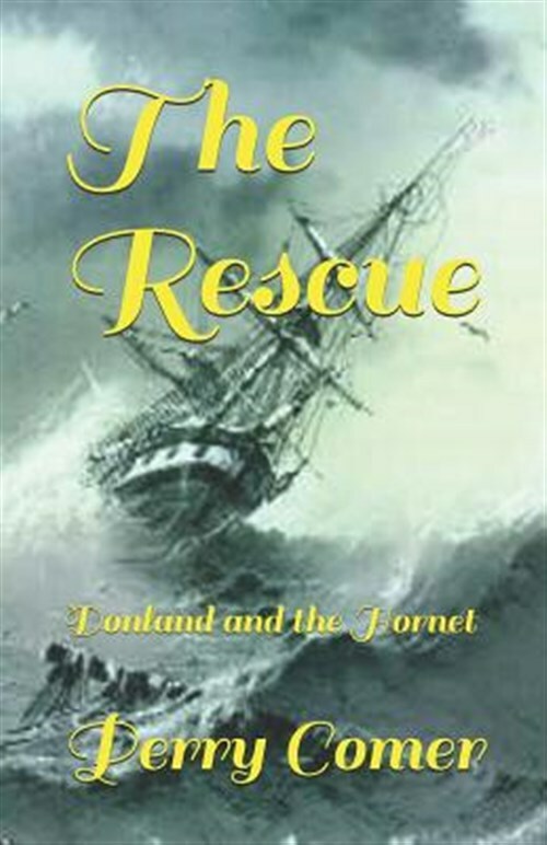Donland Ser.: The Rescue : Donland and the Hornet by Perry Comer (2019 ...