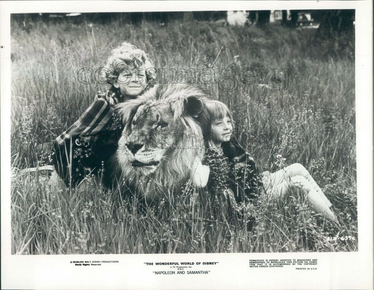 Johnny Whitaker Jodie Foster