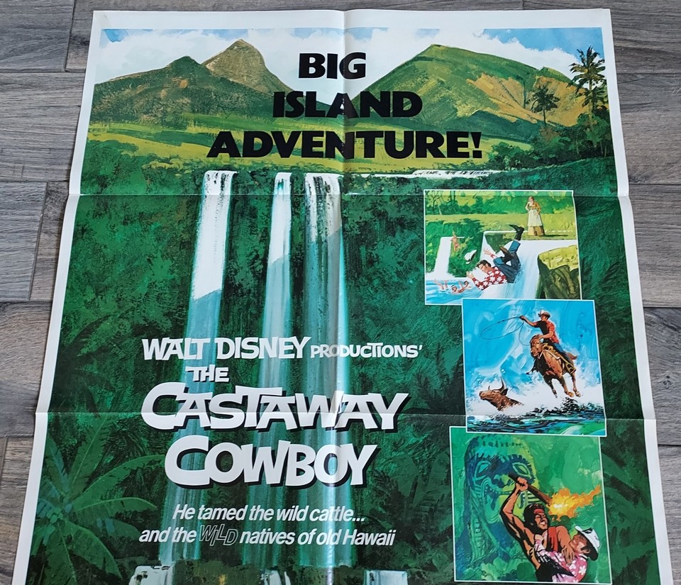 THE CASTAWAY COWBOY - © 1974 - MOVIE POSTER - 27 X 41 - listing #8333 ...