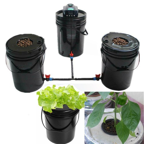 5 Gallon Hydroponic System Kit - Deep Water Culture - DWC - agrohort ... 5 Gallon Hydroponic System Kit - Deep Water Culture - DWC - agrohort ...