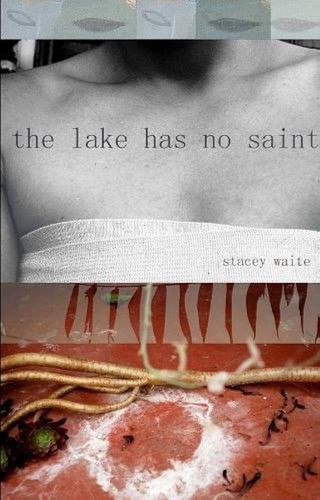 The lake has no saint by Stacey Waite (English) Paperback Book | eBay