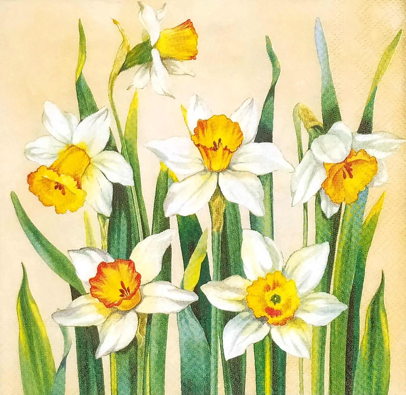 S676# 3 x Single SMALL Paper Napkins For Decoupage White Daffodil ...