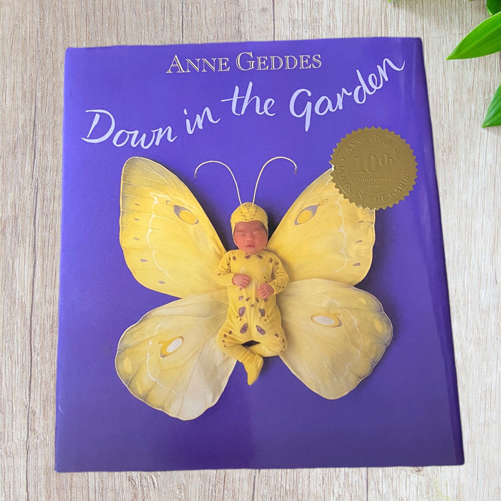 Down in the Garden by Anne Geddes Book of Photographs Geddes Babies ...