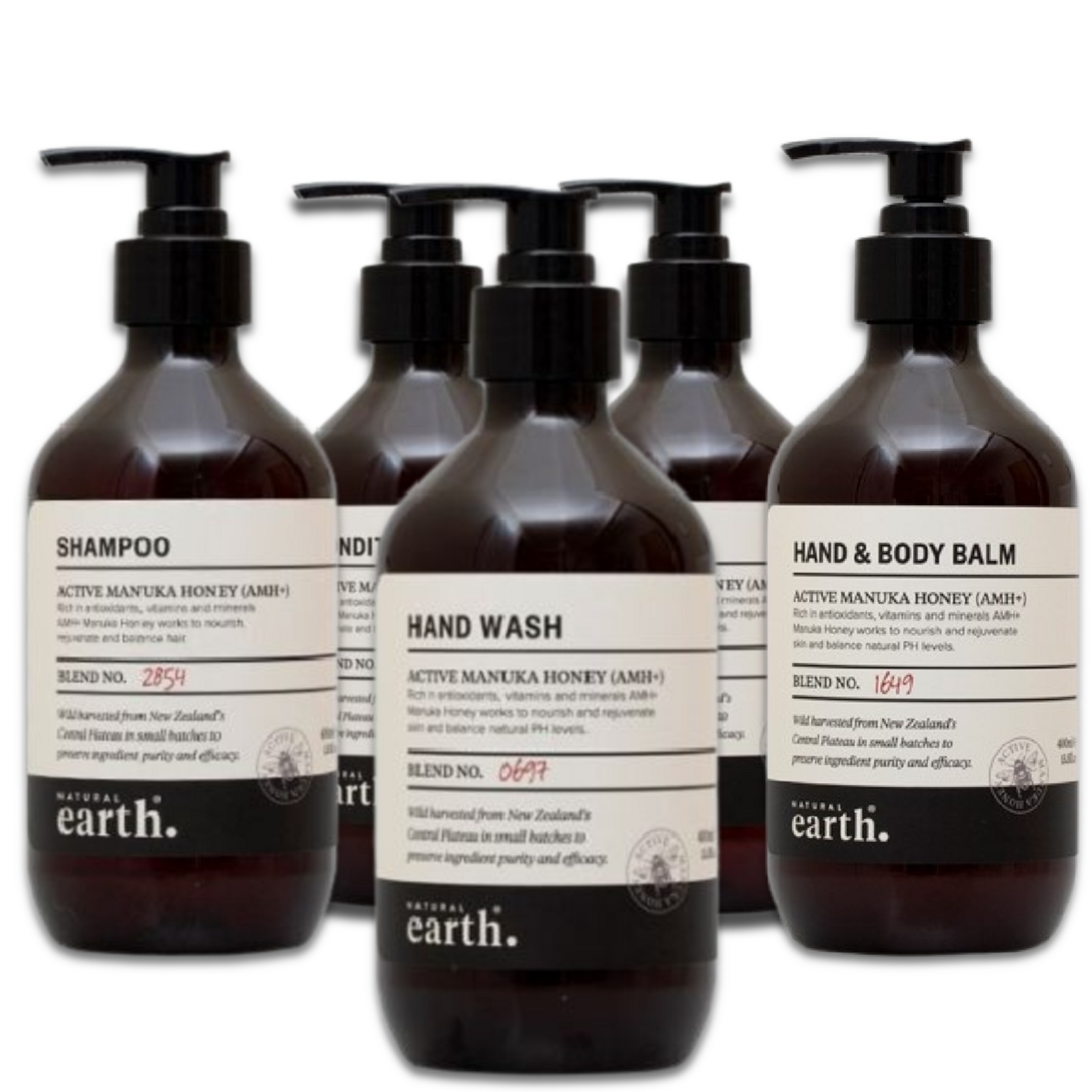 Natural Earth Shampoo, Conditioner, Hand Wash & Body Balm | Bnb ...