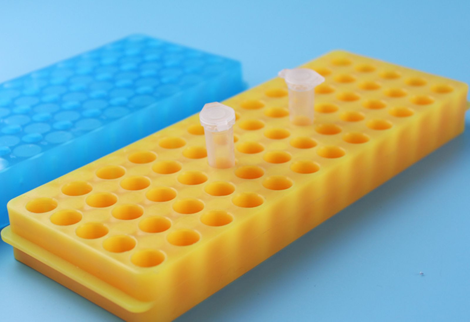 New 2pcs PCR pipe rack EP pipe rack Centrifuge tube rack | eBay