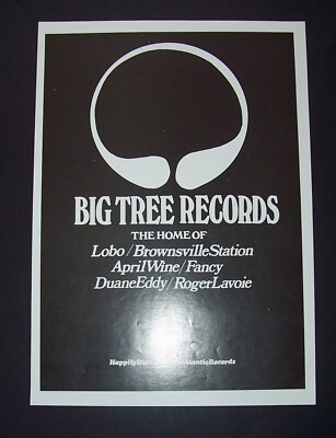 Big Tree Records, Brownsville Station 1974 Short Print Poster Type ...