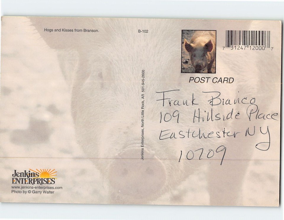 Postcard Pig Just Another Pretty Face... Hogs and Kisses from Branson ...