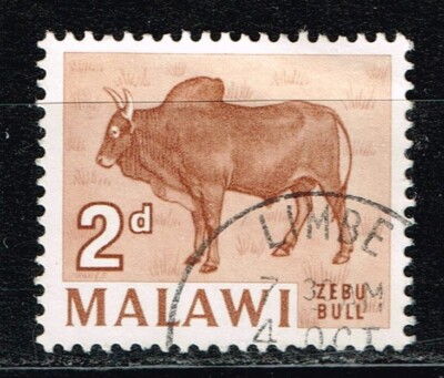 Malawi Farm Animals Cows Zebu Bull stamp 1970 A-24 | eBay UK