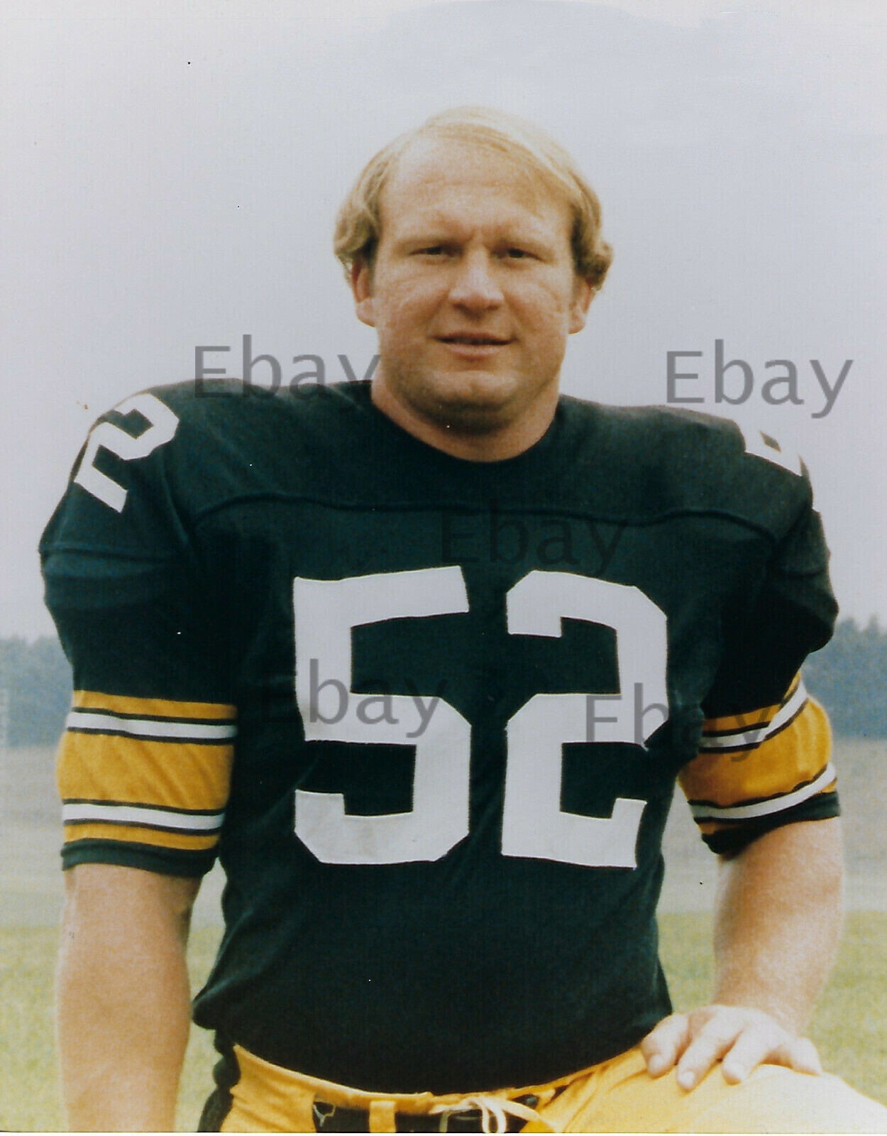 MIKE WEBSTER - Pittsburgh Steelers 8X10 Photo Reprint | eBay