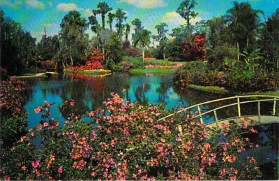 Florida-Famous Cypress Gardens-Flowers & Tropical Palm Trees-Waterways ...