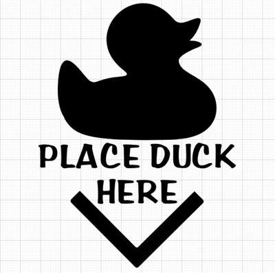 PLACE DUCK HERE WATERPROOF VINYL DECAL STICKER | eBay