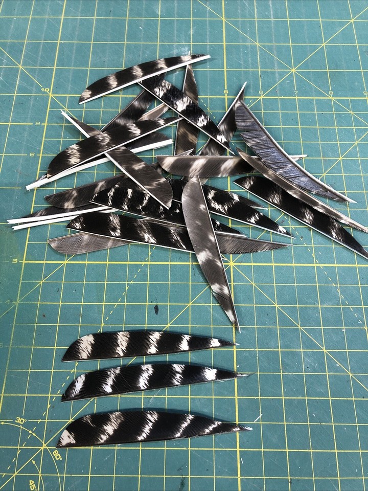 4" Right Wing Parabolic Natural Barred Feather Fletching, 25Pk Archery ...