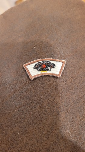 Boy Scouts Bird/ Turkey Segment Patch | eBay