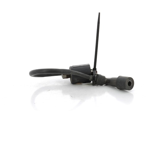 Spule - YAMAHA X-Max 125 (LYM92E20V267) - GPA-945327311 - L0-2229M ...