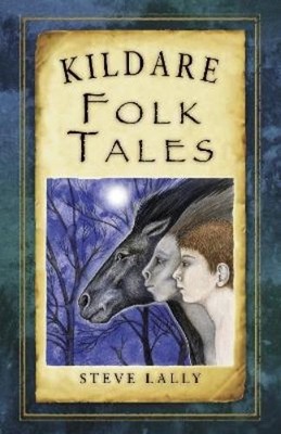 Steve Lally Kildare Folk Tales (Paperback) (UK IMPORT) 9781845888107| eBay