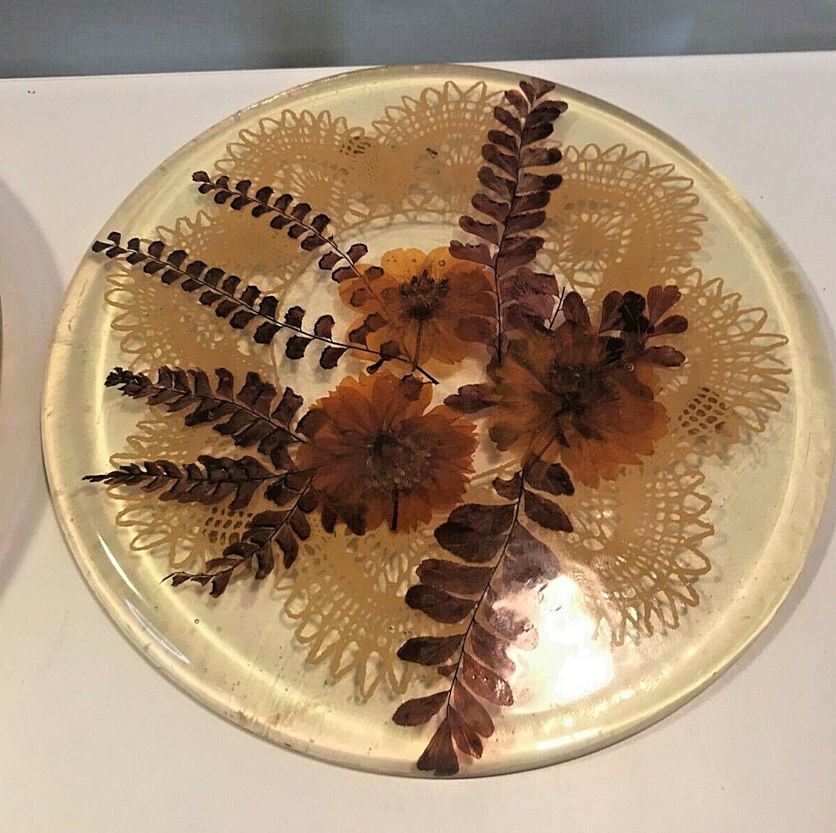 Vintage Acrylic Resin Hotplate Trivets footed SEEDS & FLOWERS MCM ...