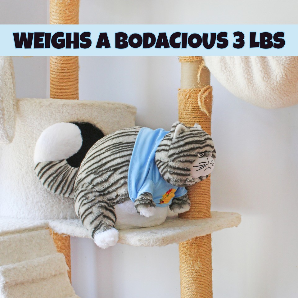 Chonky Cat Weighted Plush, Stuffed Fat Cat Plush Animal Toy, Autism ...