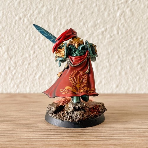 Warhammer 40k Primaris Marines - Painted Adeptus Custodes Army ...