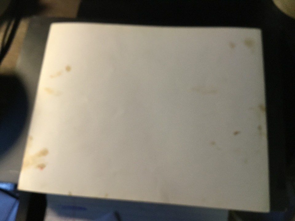 The Birds Rod Taylor Jessica Tandy original photo see description | eBay