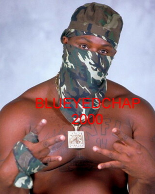 SWOLL WRESTLER 8 X 10 WRESTLING PHOTO WCW | eBay