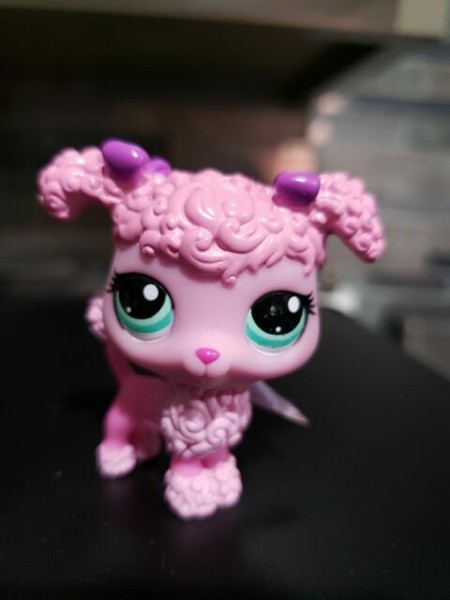 Hasbro Littlest Pet Shop LPS #3599 Pink Poodle Purple Bows Teal Aqua ...