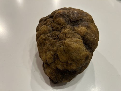 Large Unopened Geode Rare KY Geode Great Addition To Any Collection #57 ...