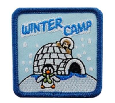 Girl Boy Cub WINTER CAMP Snow Camping Fun Patches Crests Badges SCOUTS ...