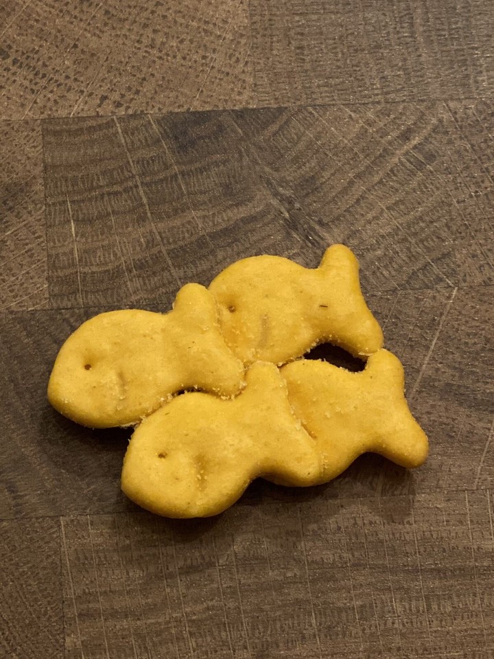 Rare 4 Goldfish Cheddar Crackers Stuck Together. School Of fish | eBay