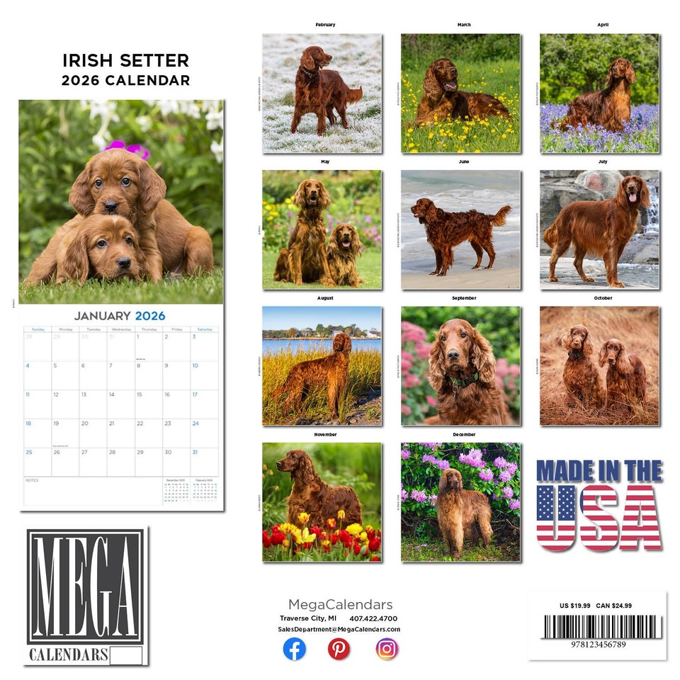 Irish Setter Calendar 2026 - Dog Breed Wall Calendar - Made in the USA ...