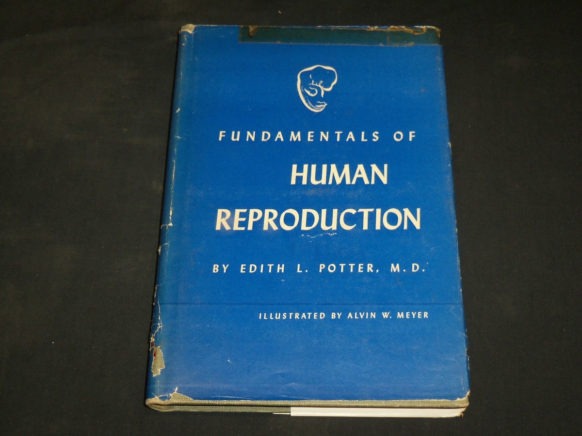 Human Hermaphrodite Reproductive System Book 430496