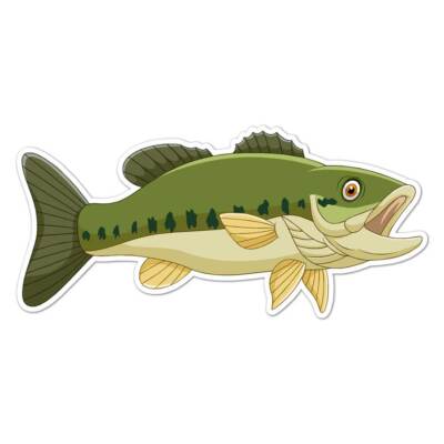 Largemouth Smallmouth Bass, Vinyl Decal Sticker, Indoor Outdoor, 3 ...