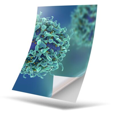 1 x Vinyl Sticker A4 - Cells Cancer Science Micro #2198 | eBay UK