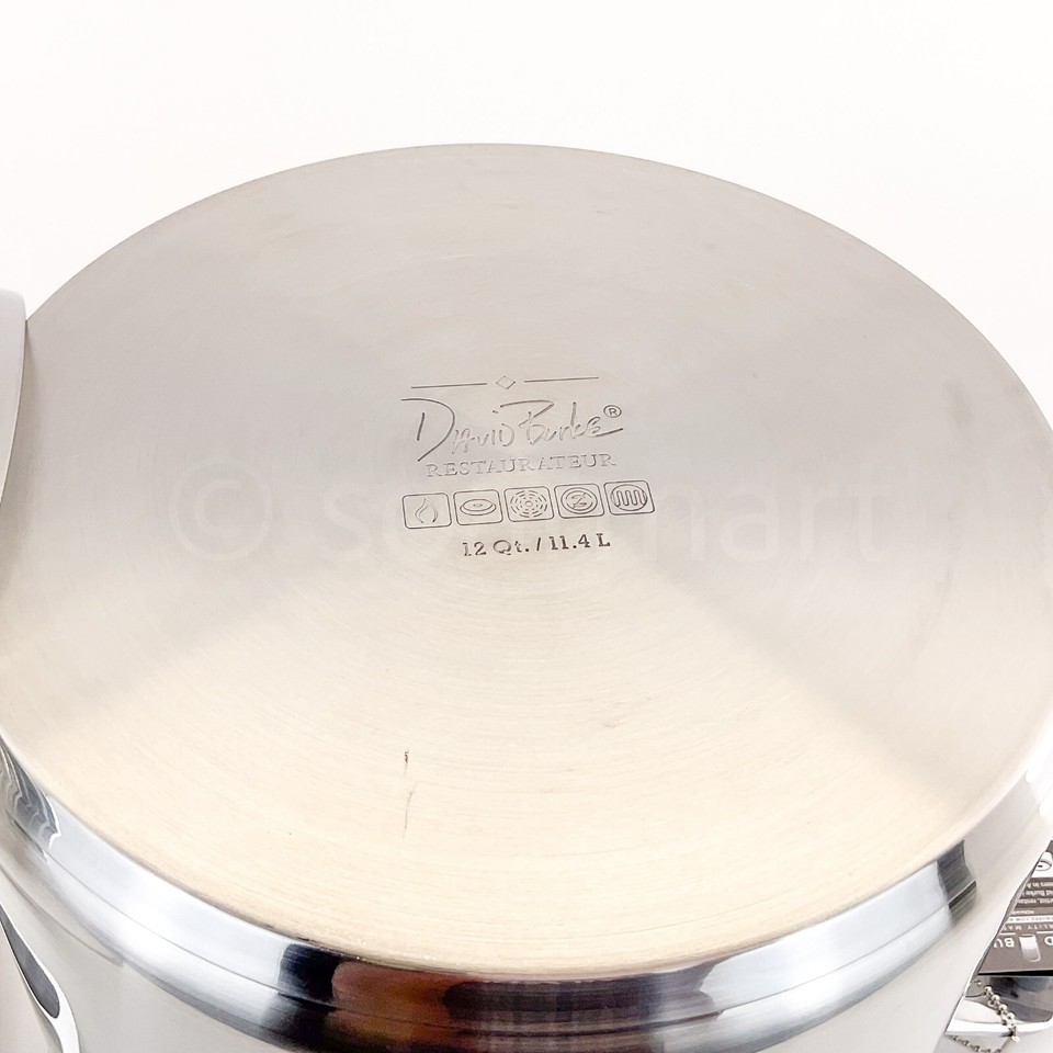 David Burke Elements Heavy Gauge Stainless Steel 12-QT Stockpot New | eBay