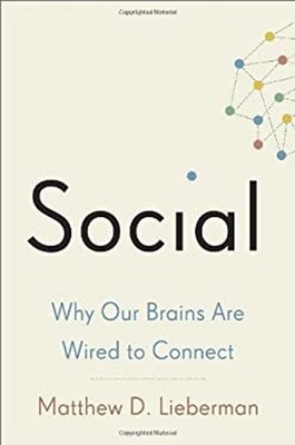 Social : Why Our Brains Are Wired to Connect Hardcover Matthew D ...