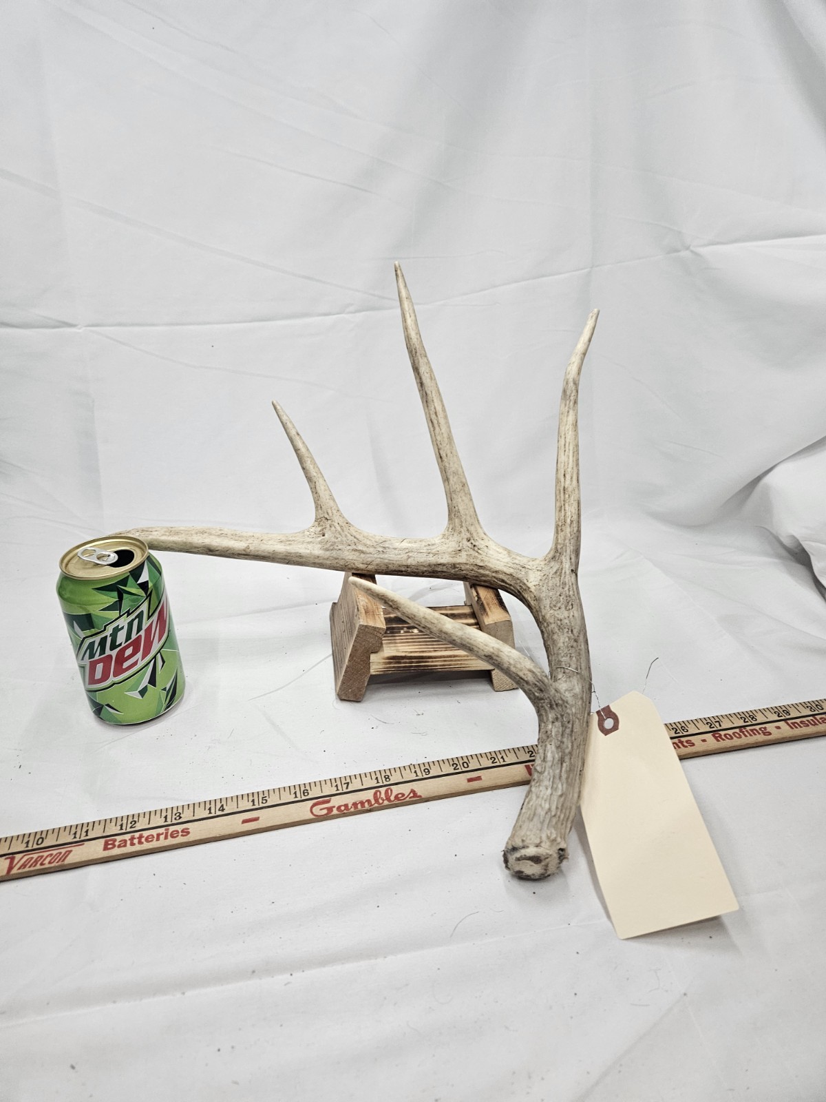 Farm Whitetail Deer Antler Shed Horn Rack Decor 5 Point Man Cave Decor ...