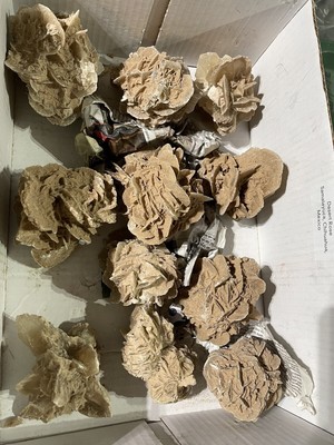Desert Rose Mexico- rocks fossils minerals crystals wholesale lot | eBay