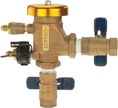 Febco 765 Series 1/2" Bronze Pressure Vacuum Breaker 1/2 Inch, Inch | eBay