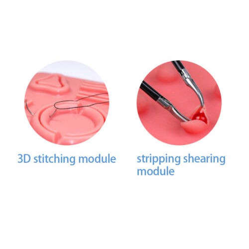 3D Laparoscopic Endoscopy Training Module for Advanced Surgical Skills ...