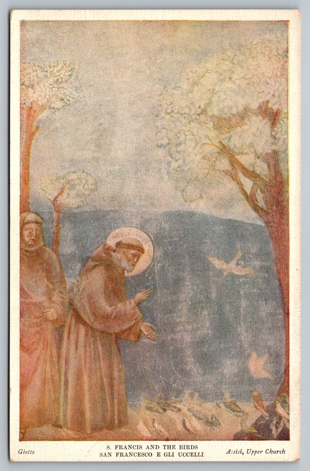 St Francis Giotto