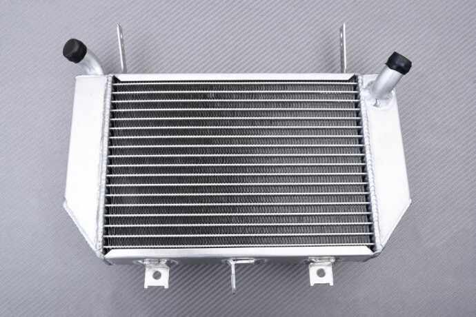 Lower Racing Water Radiator Cooling SUZUKI TL1000R TLR 1000 AM 1998 ...