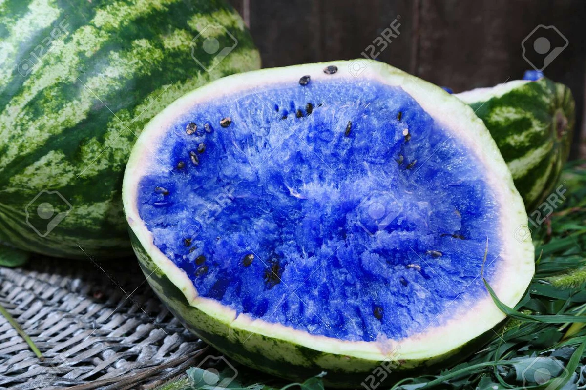 Blue Watermelon