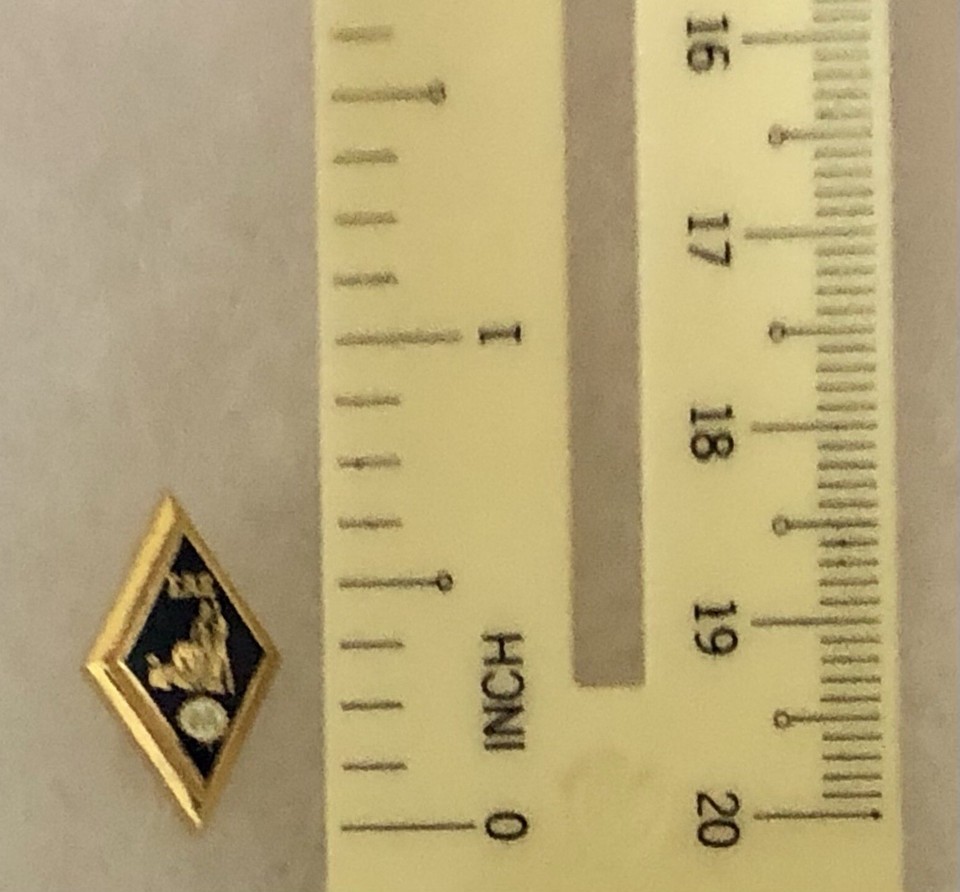 Vintage Sigma Alpha Epsilon Fraternity Pin Gold Pledge Lapel Pin | eBay