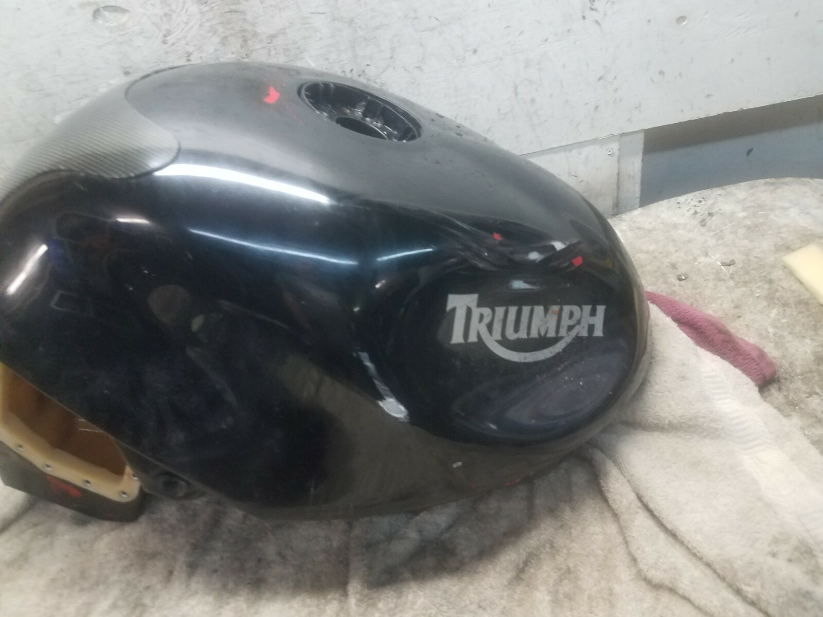 2000 Triumph Speed Triple 955i 955 Gas Tank Fuel Tank | eBay UK