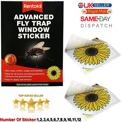 Rentokil Fly Traps Window Sticker Original Sunflower Catcher UK | eBay