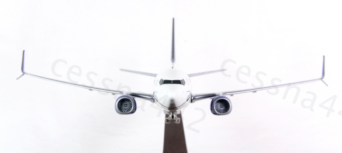 PACMIN UNITED Airlines Boeing 737-800 Scimitar Aircraft PACMIN UNITED Airlines Boeing 737-800 Scimitar Aircraft