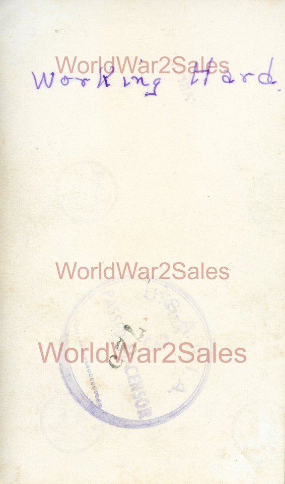 #26101 WWII 41st Infantry Division ***** Photos of GI + his Dog Tag ...