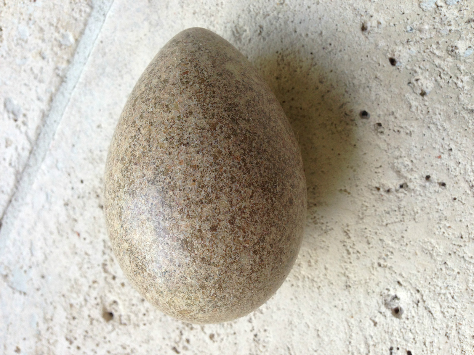 Hand Sculpted Good luck EGG Zen Spring Home Decor NEW MAKES A GREAT ...