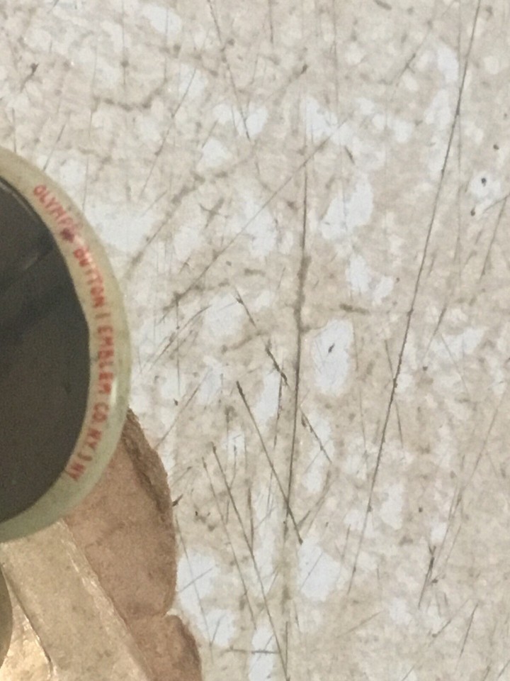 1920’s MEMBER BUSTER BROWN GANG 7/8 Tin Lito Pinback New York Olympic ...