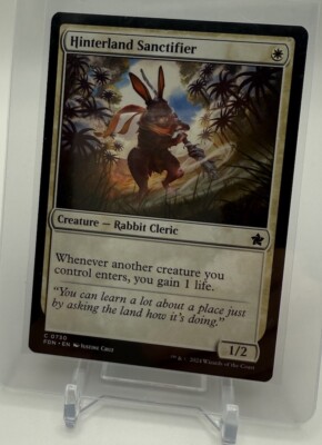 Hinterland Sanctifier 0730 Magic the Gathering Foundations | eBay